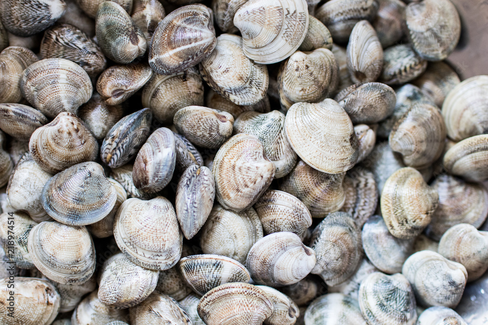 Raw Clams