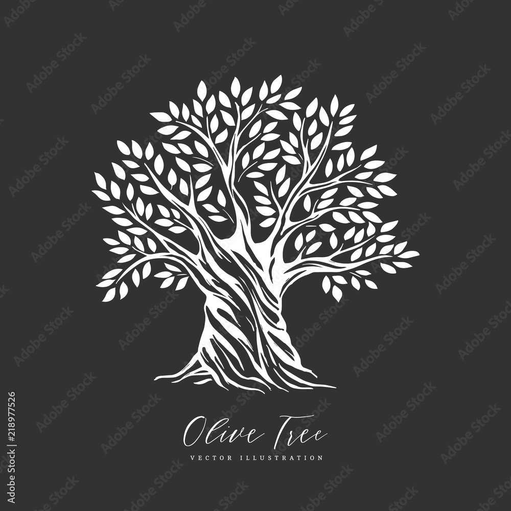 Hand drawn olive tree. Vector sketch illustration Stock Vector | Adobe ...