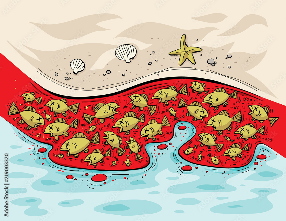 A cartoon beach showing a cluster of dead fish killed by a red tide in ...