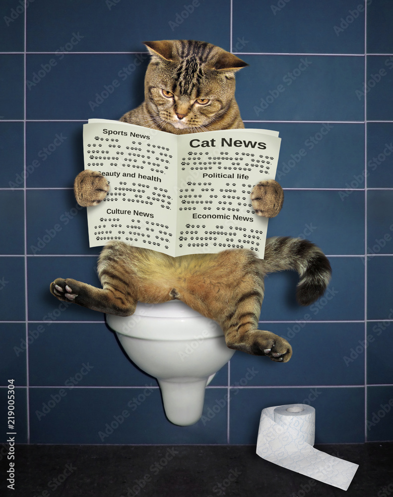 Cat Reading Newspaper