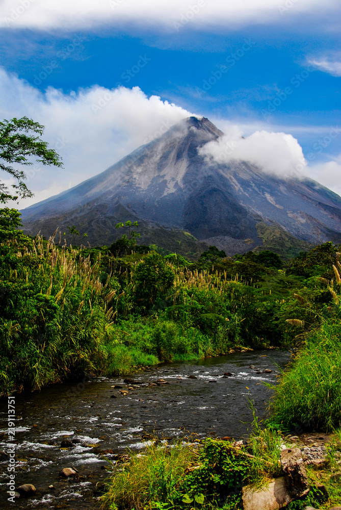 Cone Shape In Nature