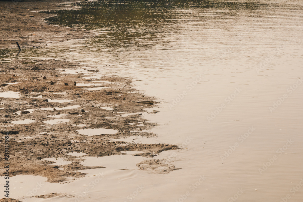 Mud in a mangrove forst in malaysia Stock Photo | Adobe Stock