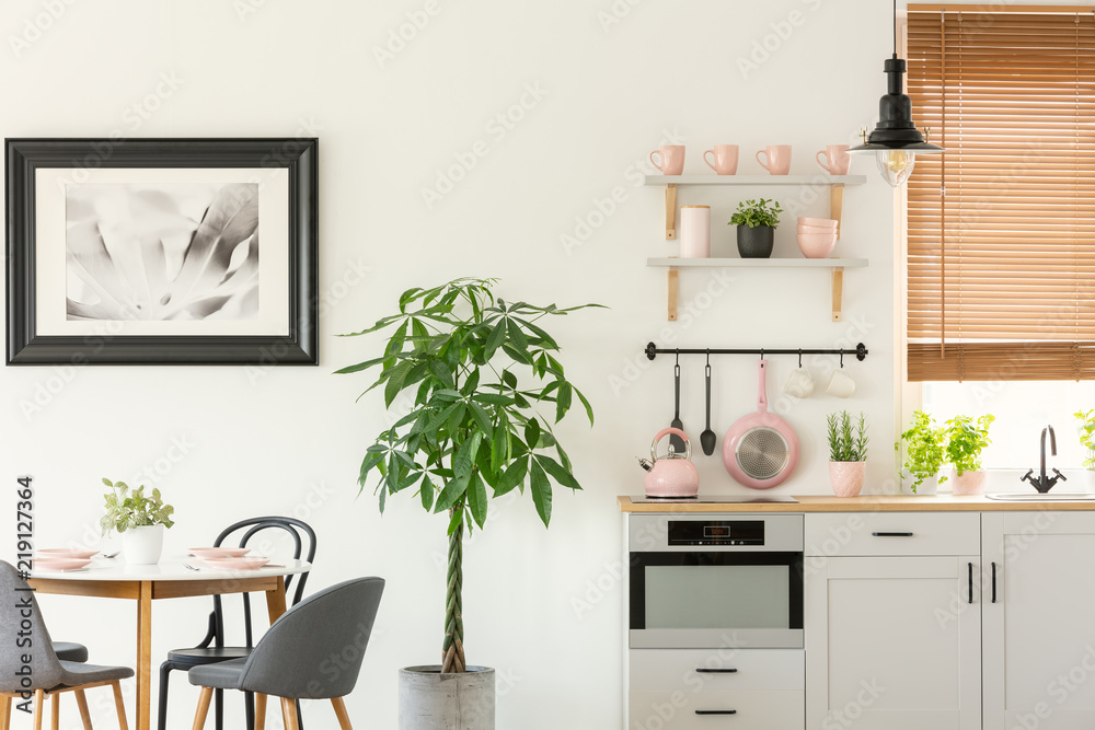 Fresh plant standing next to wooden dining table with chairs in real ...