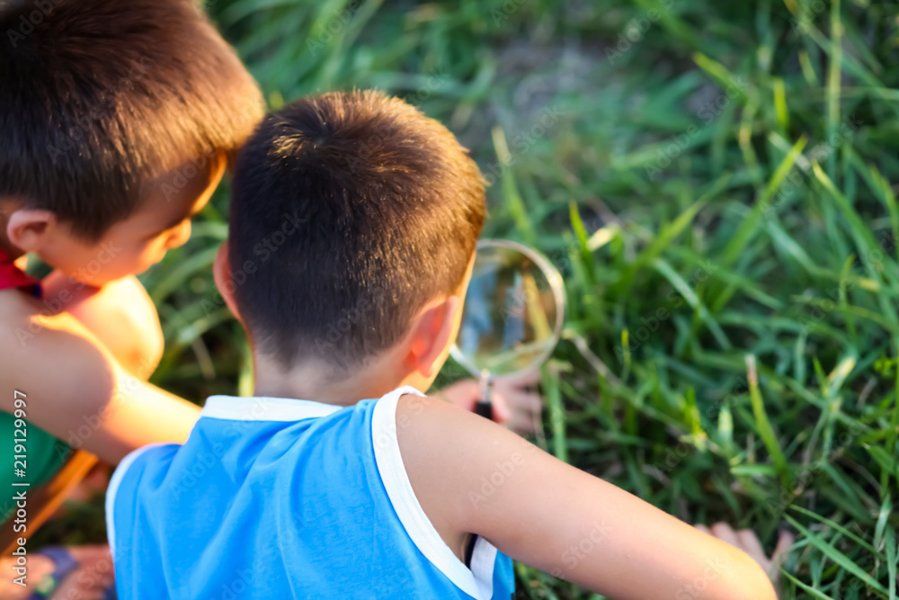 Cute little child boy looking through a magnifying glass on the tree in ...