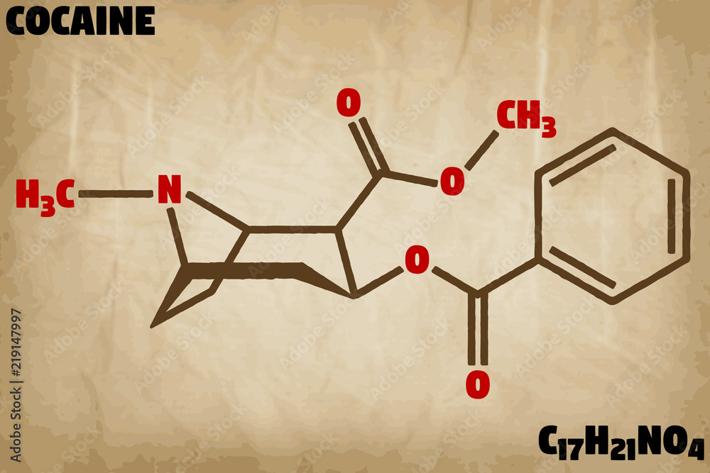 Detailed infographic illustration of the molecule of Cocaine. Stock ...