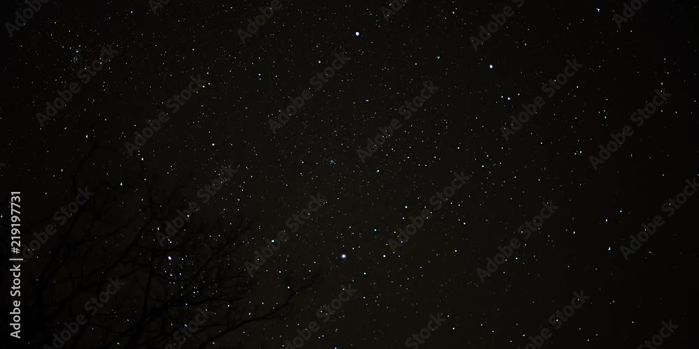 Night starry sky timelapse with tree. Time lapse of Rotating earth ...