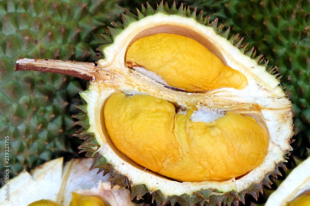 Half cut durian "King of Fruits" on heap of durian fruits Stock Photo ...