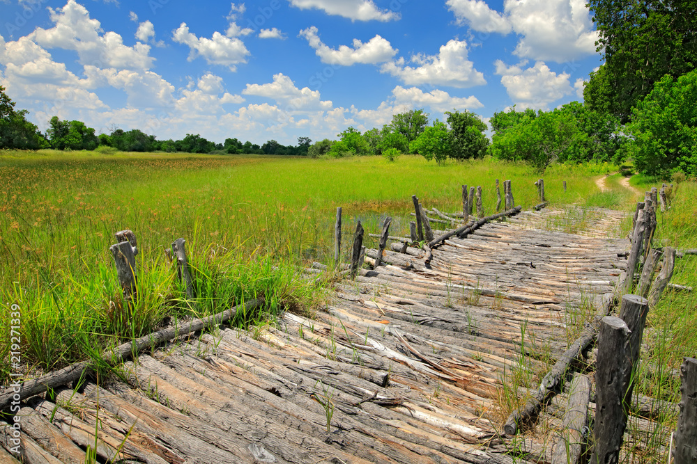 Third Bridge, Moremi Game Reserve in Okavango Delta, Botswana. Wet ...