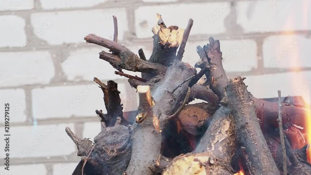 The fire burns. Firewood of the different size. Stock Video | Adobe Stock