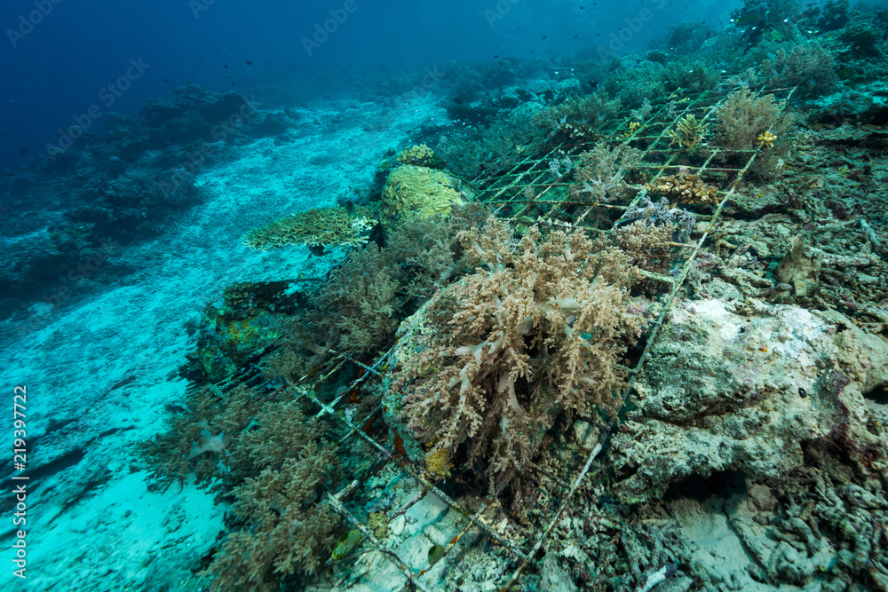 man-made artificial reef with metal struture and concrete to help ...