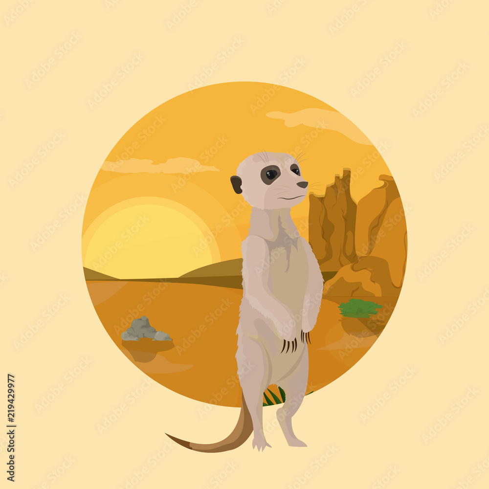 Desert animal cartoon Stock Vector | Adobe Stock