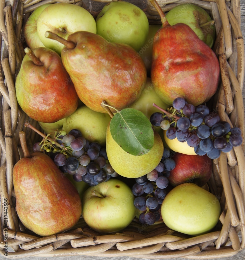 Herbst, Obstkorb, frisch Obstkorb gefüllt holz obstkorb gemüse ...