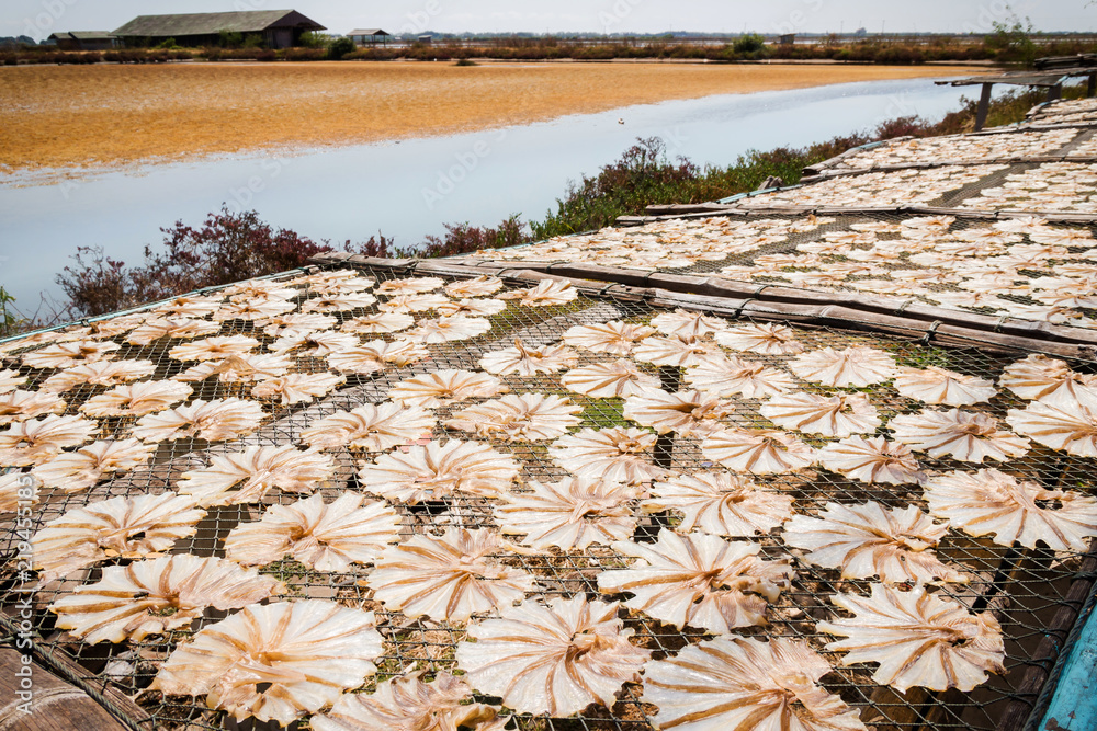Foto de Dried Stingrays fish. The preserved fishes, cut and clean the ...