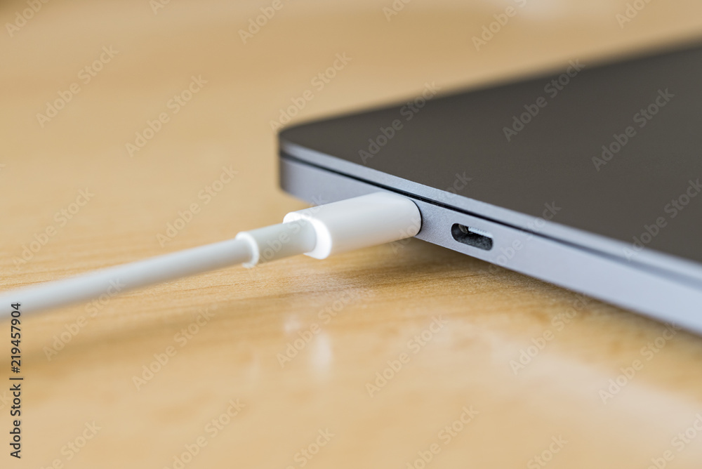 Cable USB adapter under the Type-C connector is installed in the laptop ...