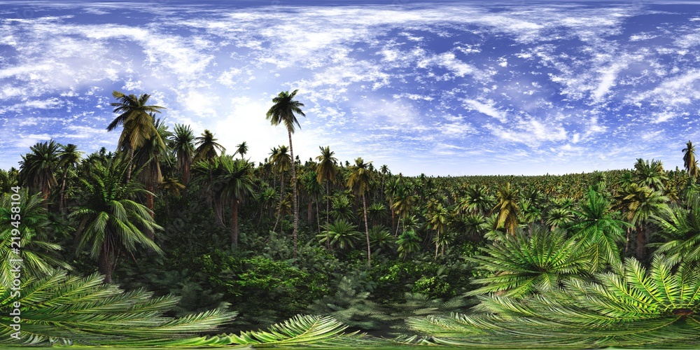 Tree of palm trees. Environment map. HDRI map. Equirectangular ...