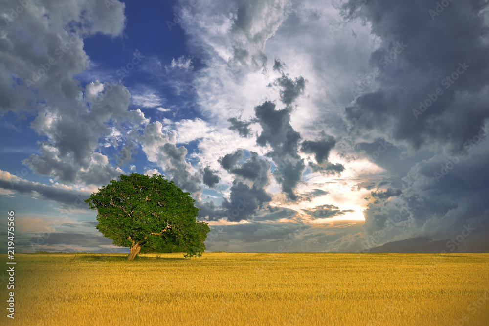 Creative Photography Of Nature