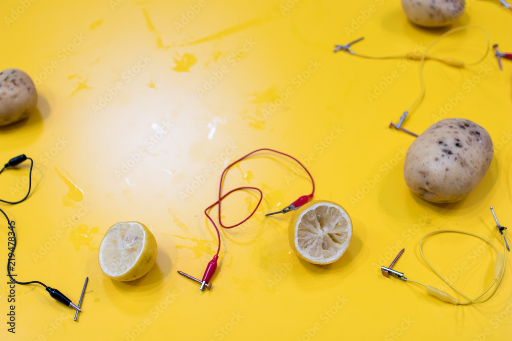 Potato battery STEM activity with potatoes, lemons, alligator clips ...