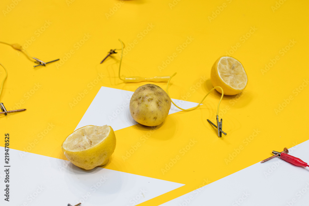 Potato battery STEM activity with potatoes, lemons, alligator clips ...