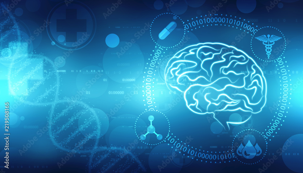 Human brain 2d illustration, Digital illustration of Human brain ...