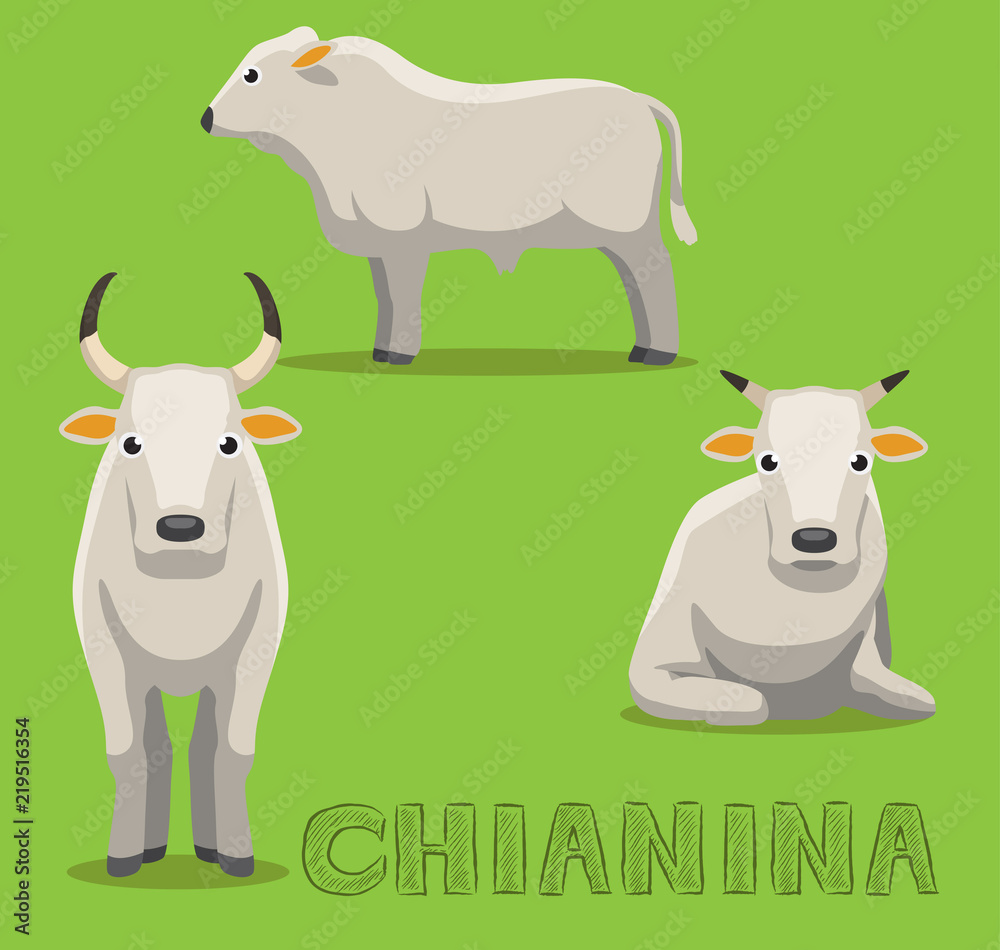Cow Chianina Cartoon Vector Illustration Stock Vector | Adobe Stock
