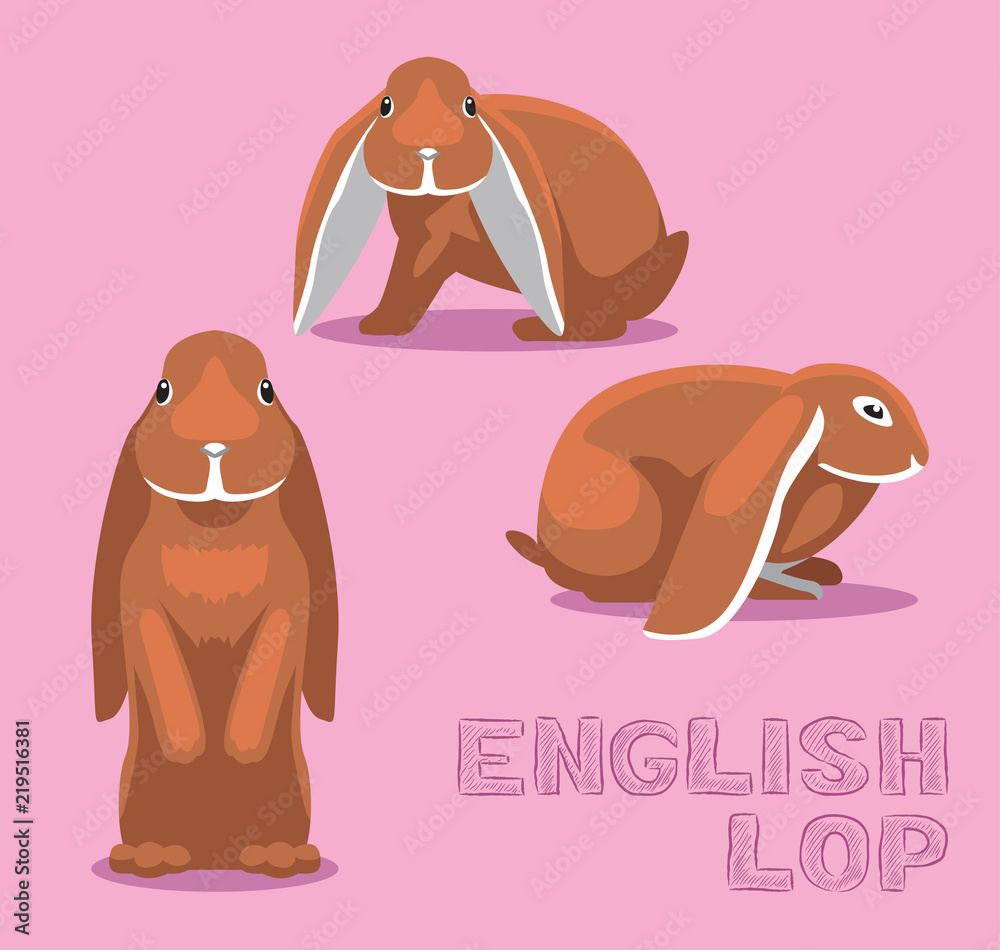 Rabbit English Lop Cartoon Vector Illustration Stock Vector | Adobe Stock