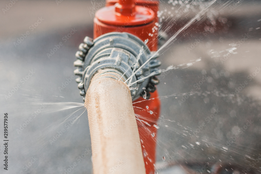 Damaged fire hose from a fire hydrant - water spray Stock Photo | Adobe ...