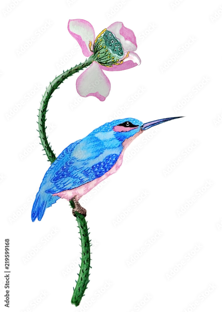 Watercolor illustration with a beautiful kingfisher that sits on the ...