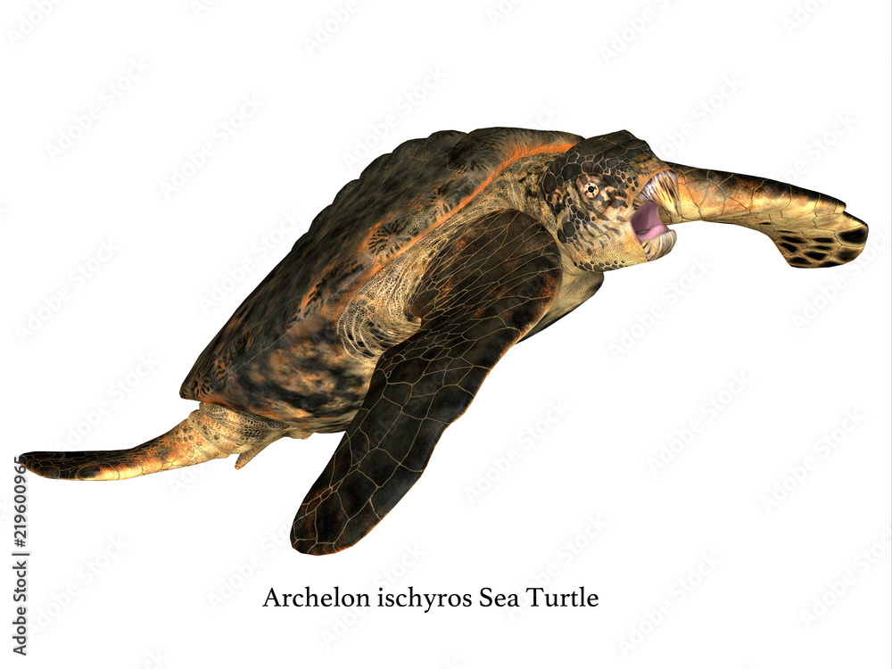 Archelon Turtle Swimming - Archelon was an aquatic reptile sea turtle ...