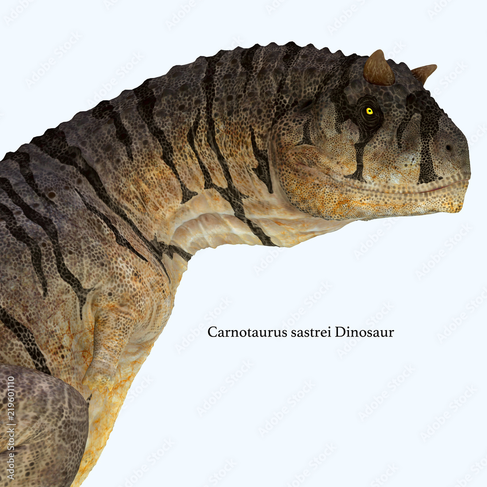 Carnotaurus sastrei Dinosaur Head - Carnotaurus was a carnivorous ...