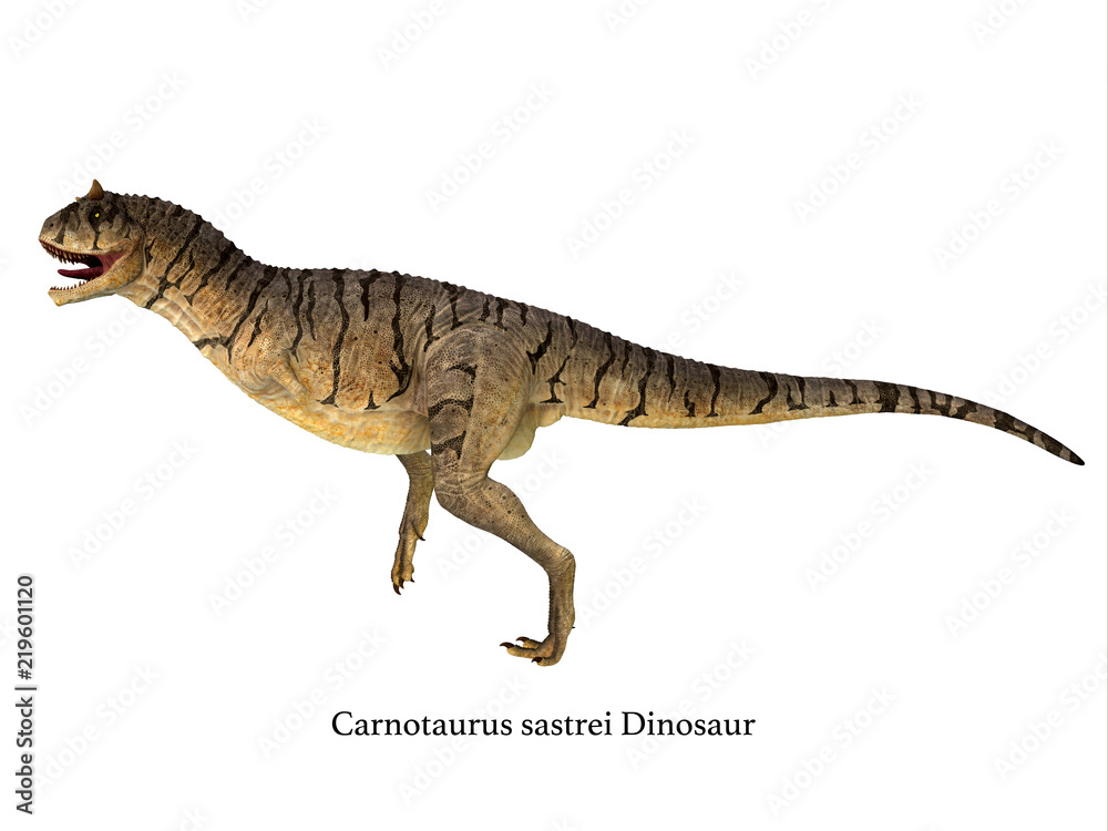 Carnotaurus sastrei Dinosaur Side Profile - Carnotaurus was a ...
