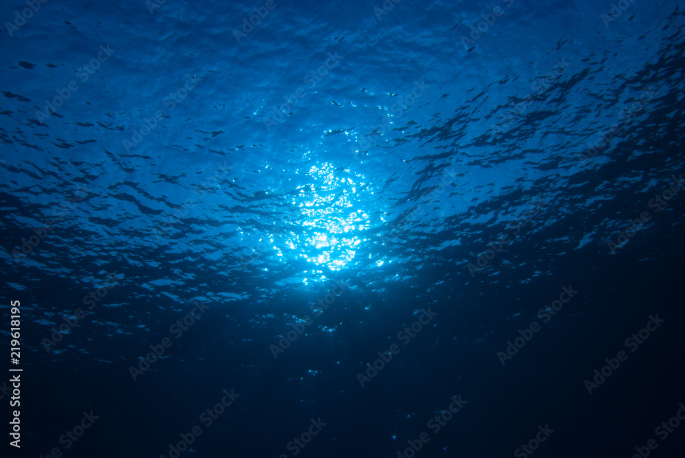 Ocean Surface From Below