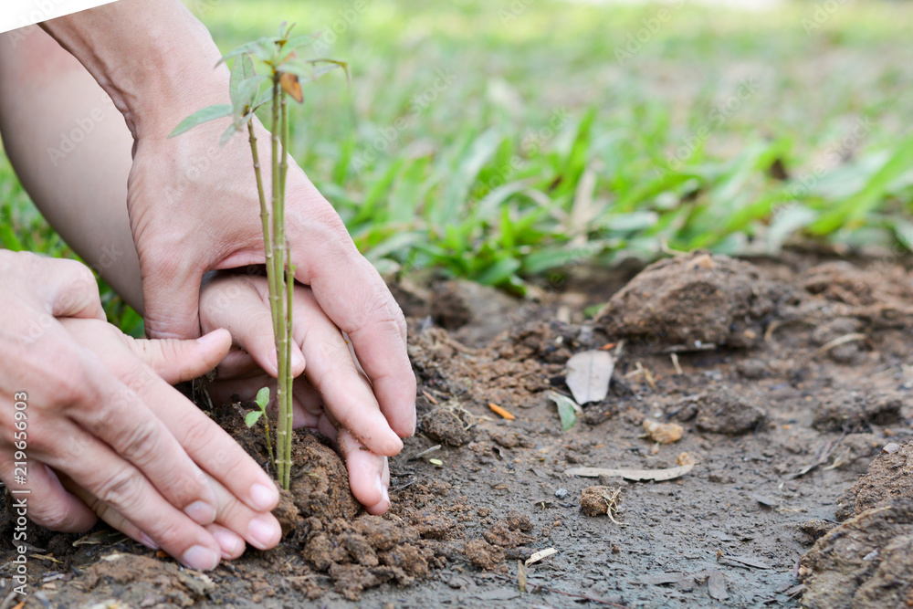 Foto Stock World environment day reforesting eco bio arbor CSR ESG ...