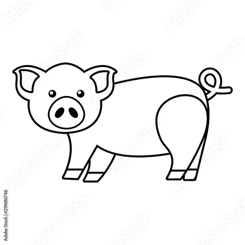 Cute Pig Outline