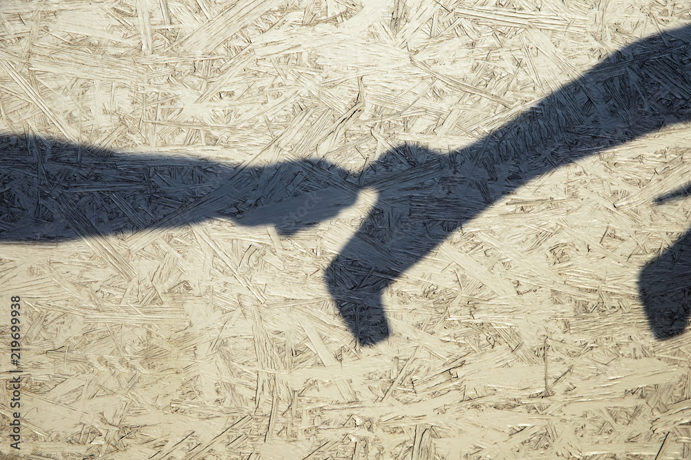 Female feet in shoes. Shadows of the feet. The shadows of the shoes ...