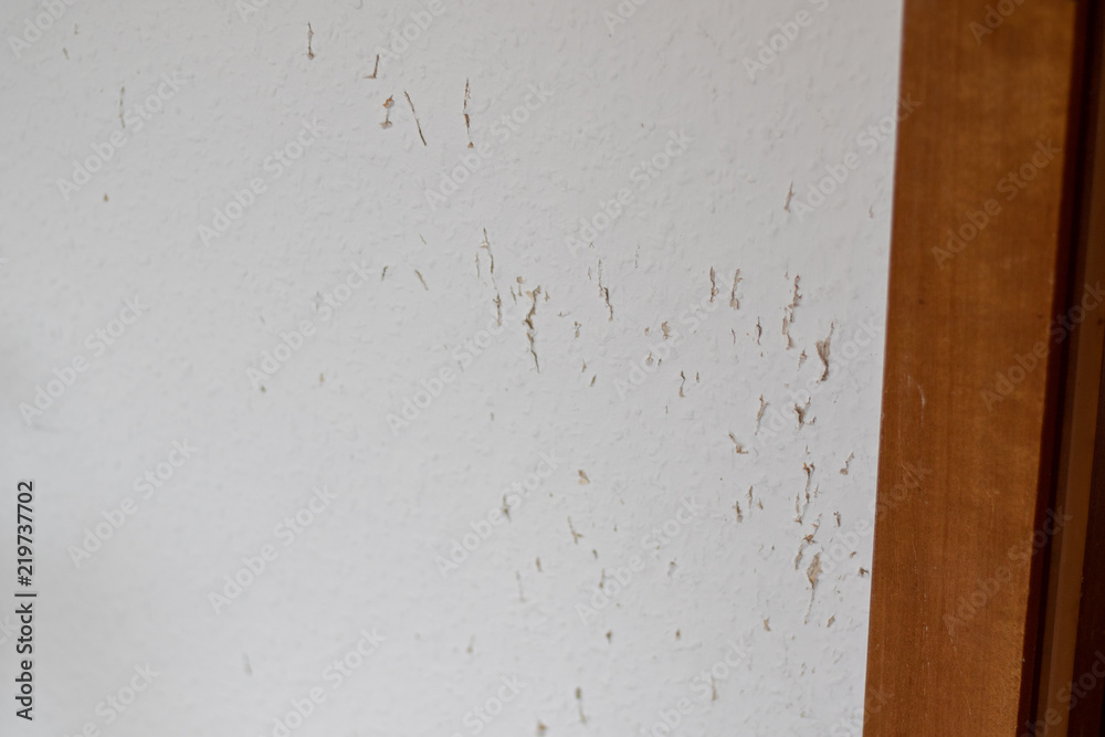 Scratches from a cat inside the white wall in the house Stock Photo ...