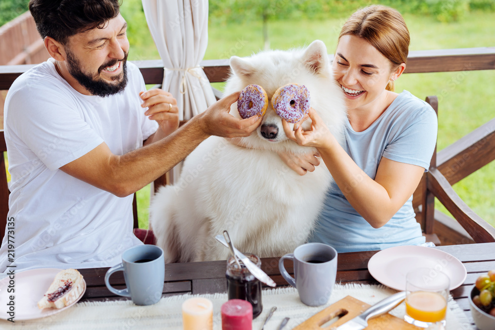 Fun with dog. Man and woman laughing while having fun with their dog ...