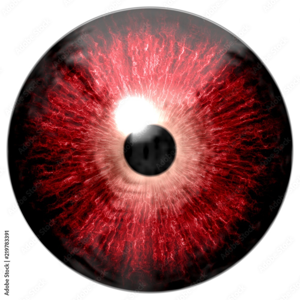 Red eye texture isolated on white background, black pulpil and light ...