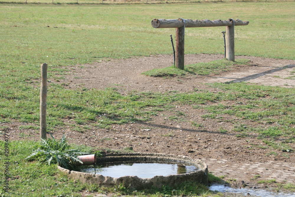 Pferdekoppel, Pferdewiese Stock Photo | Adobe Stock