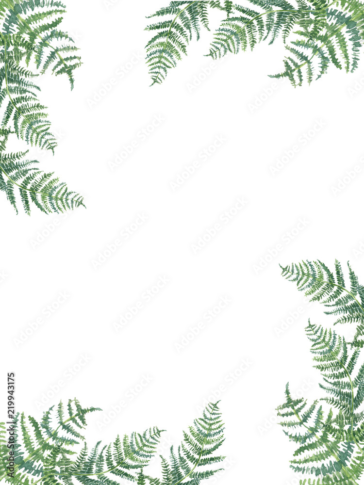 fern frame/ Watercolor floral frame. Hand drawn spring plants card ...