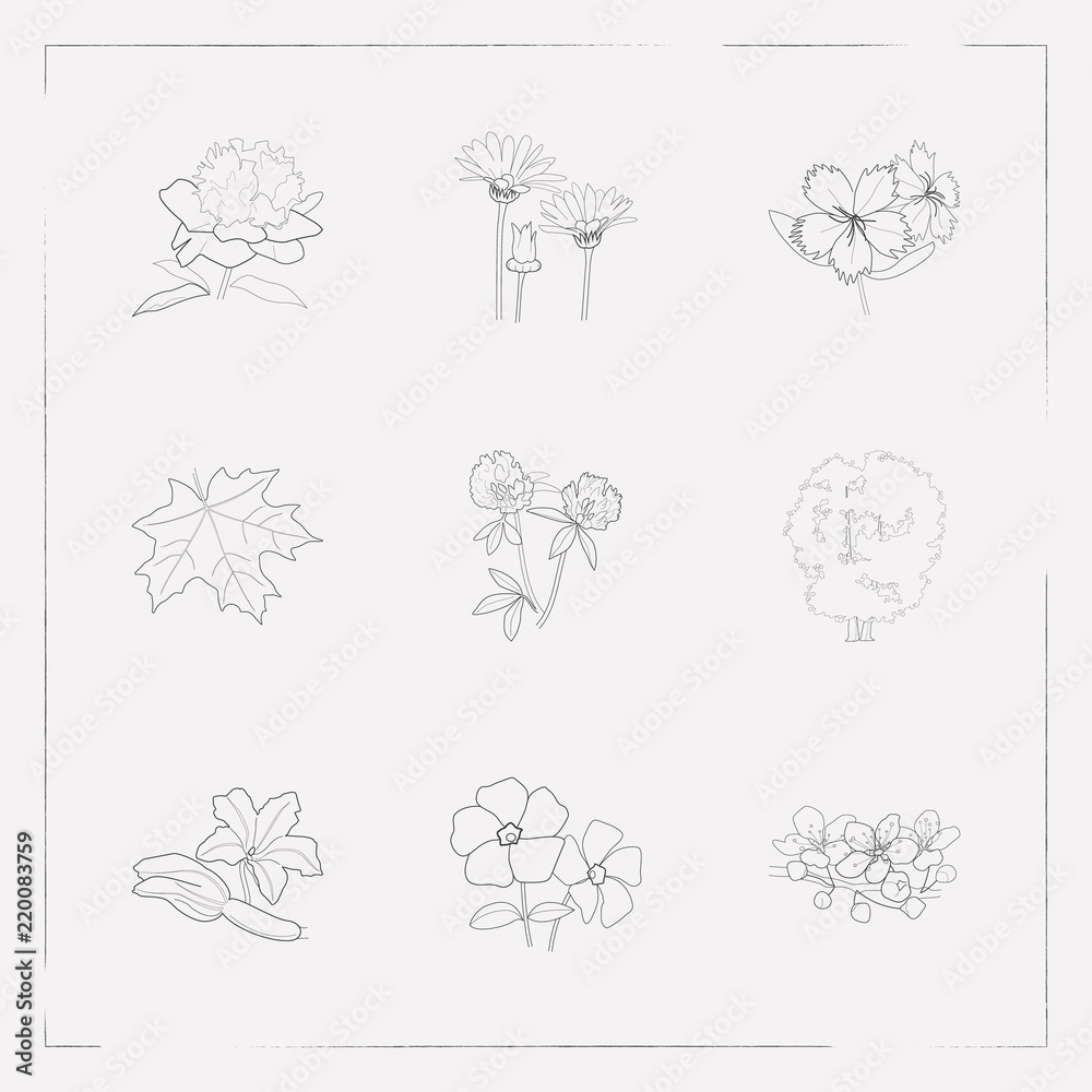 Set of nature icons line style symbols with calendula, clove, dianthus ...