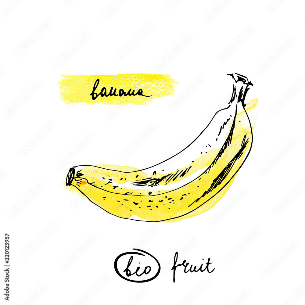 Banana Drawing Color