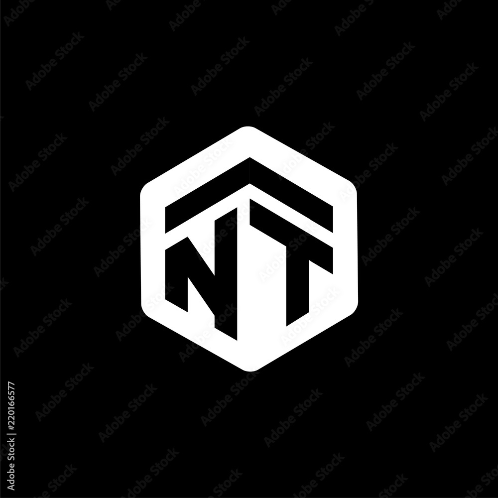 NT Initial letter hexagonal logo vector Stock Vector | Adobe Stock