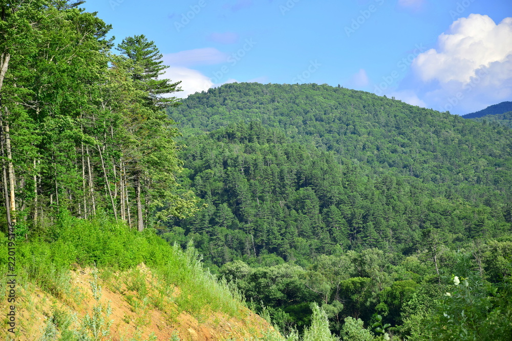 Sikhote Alin Mountains