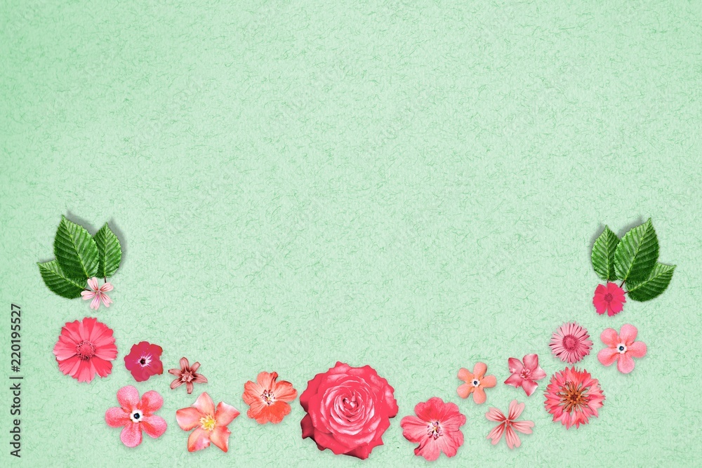 Beautiful Green Flower Frames