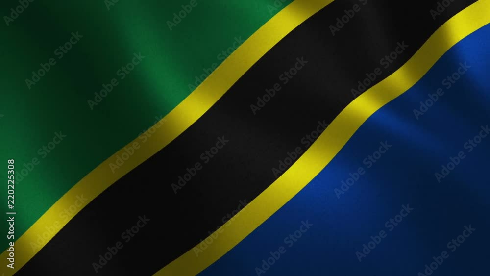 Tanzania flag waving 3d. Abstract background. Loop animation. Stock ビデオ ...