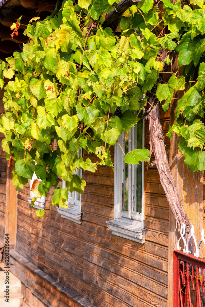 Kraina Otwartych Okiennic / the Land of Open Shutters Stock Photo ...