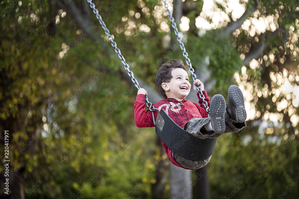 Happy Boy on Swing Stock Photo | Adobe Stock