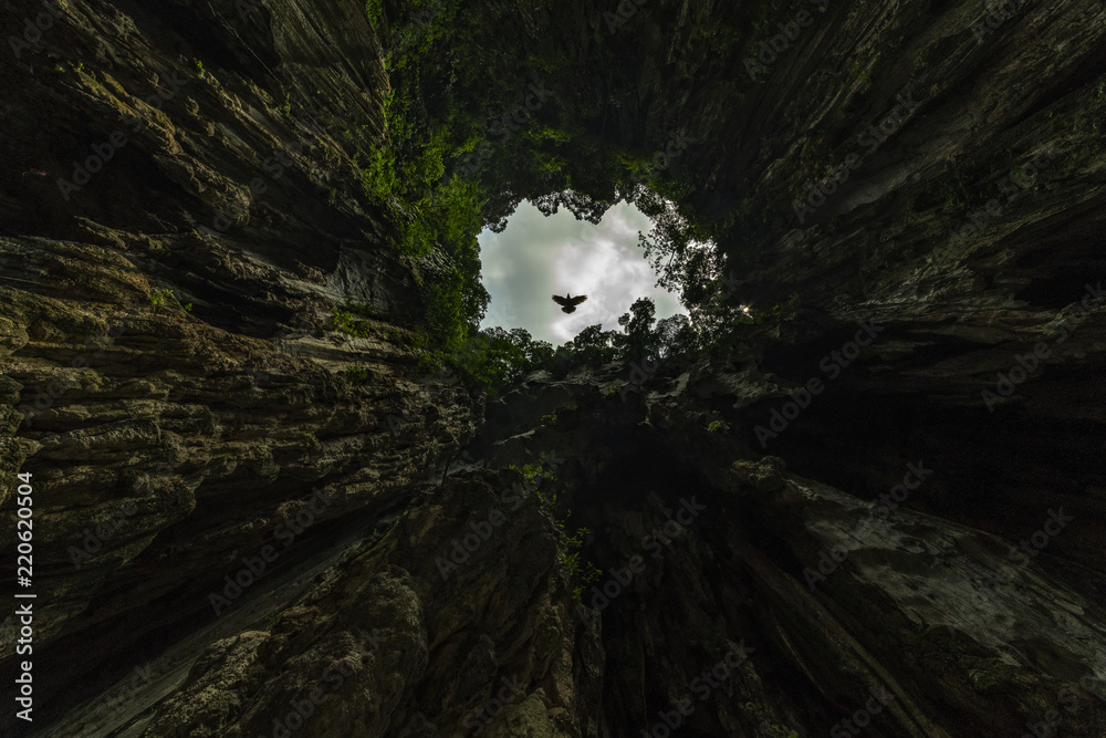 Pigeons flying very fast inside the Butu cave, one of the spiritual ...
