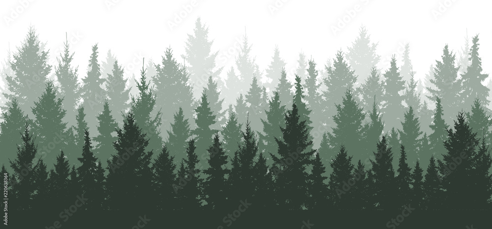 Evergreen Forest Wallpaper