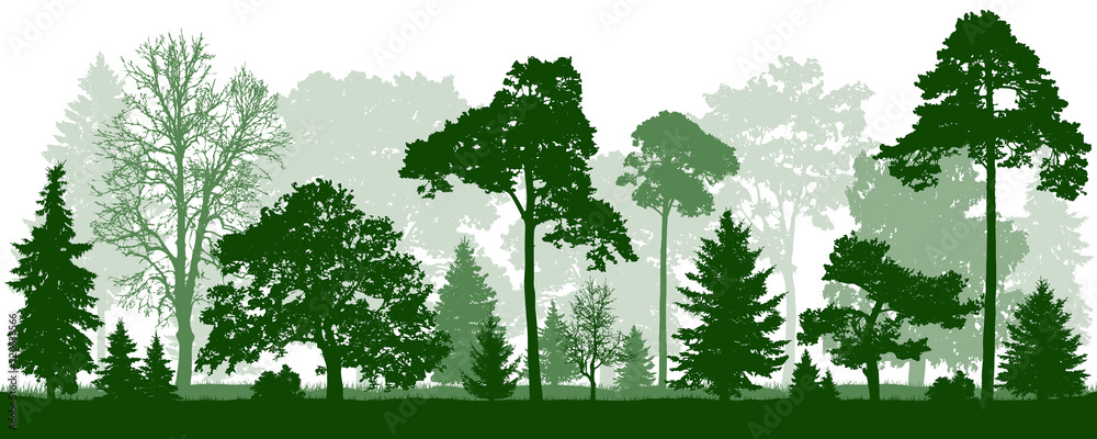 Forest green trees silhouette. Nature, park, landscape. Isolated ...